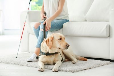 SERVICE DOG - Federal Service Dog Registration
